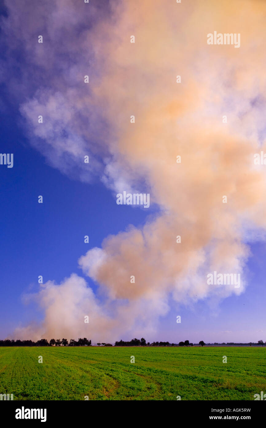 Burning field agriculture hi-res stock photography and images - Alamy