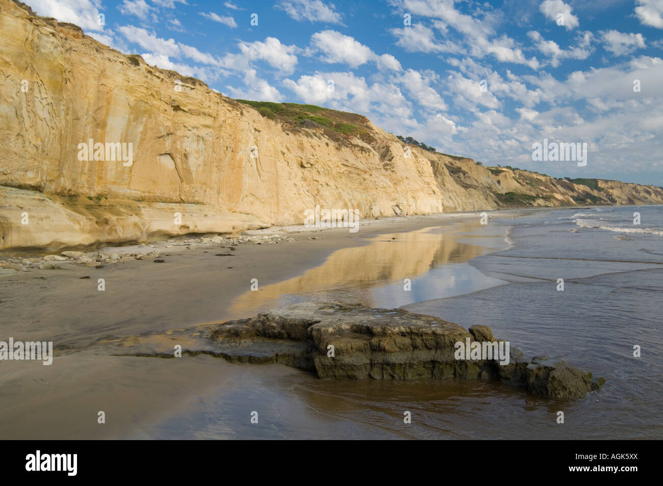 Cliffs and sandy shoreline at Torrey Pines State Beach San Diego ...