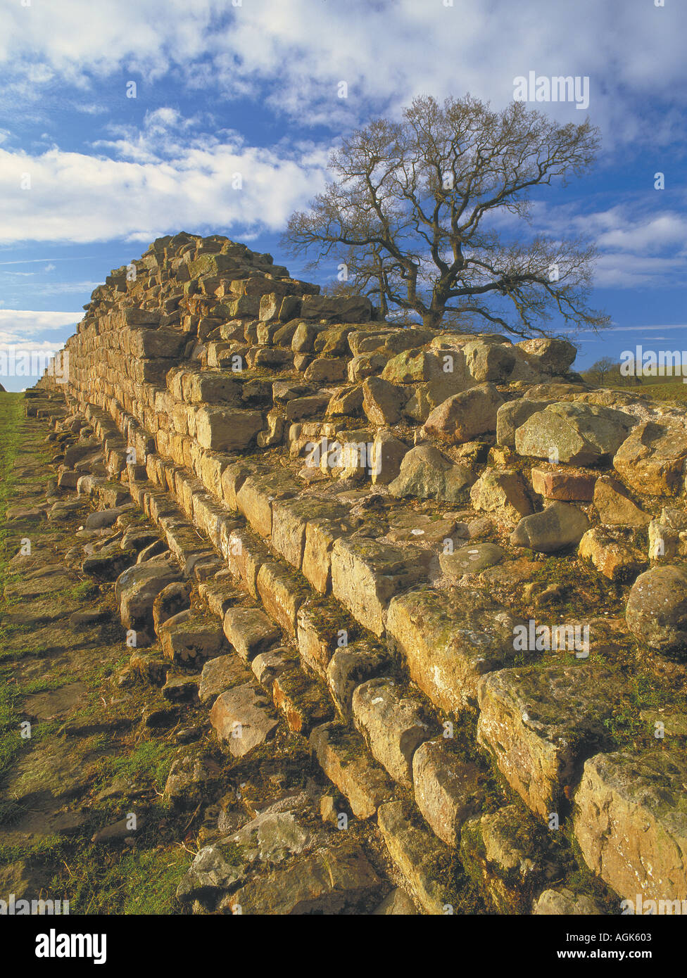 Hadrian's Wall at Willowford near Gilsland Cumbria Stock Photo - Alamy