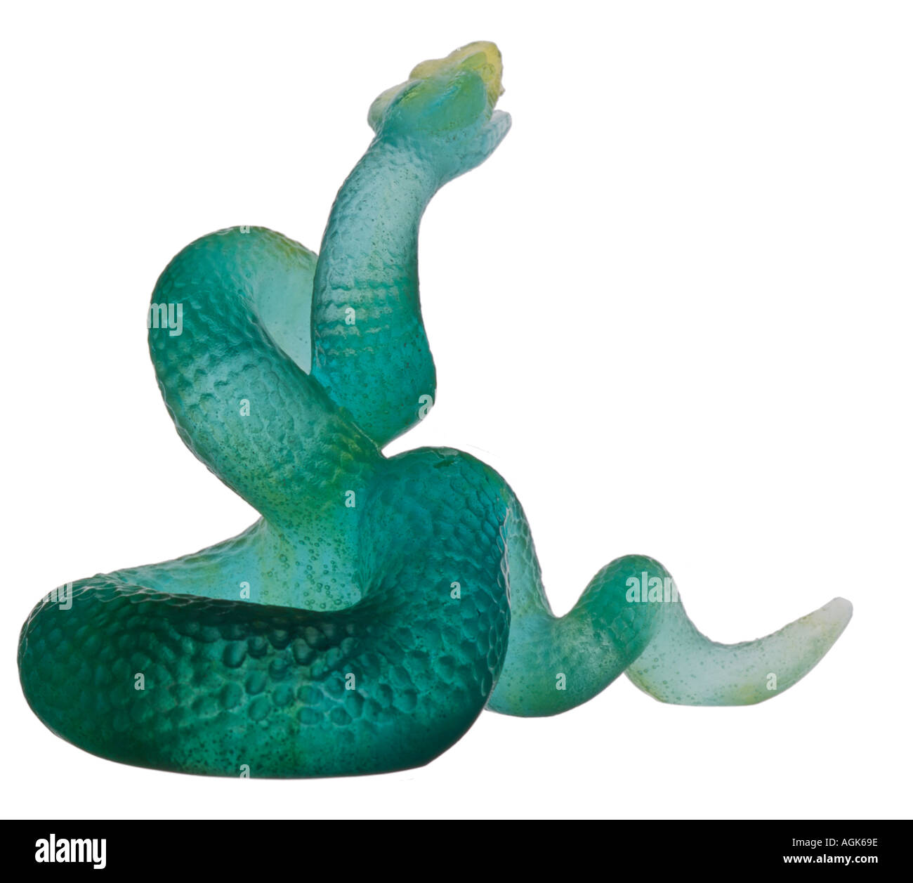 Snake head fangs hi-res stock photography and images - Alamy