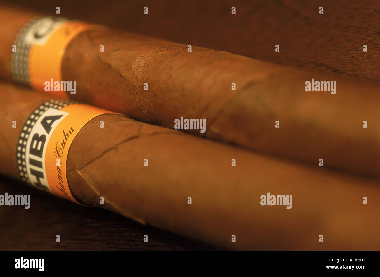 cohiba cuban cigars Stock Photo - Alamy