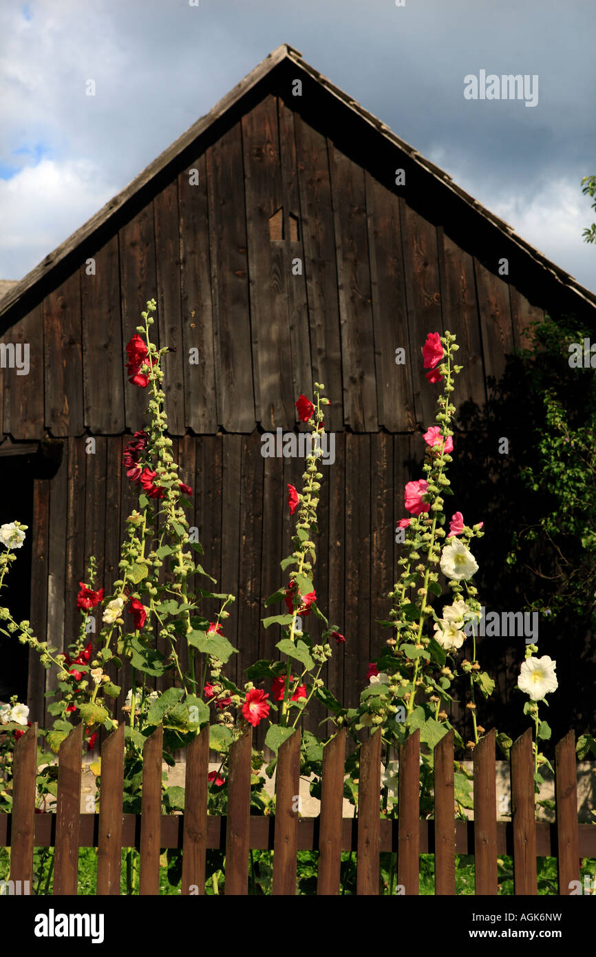 A wooden traditional house in Cicmany, Slovakia Stock Photo - Alamy