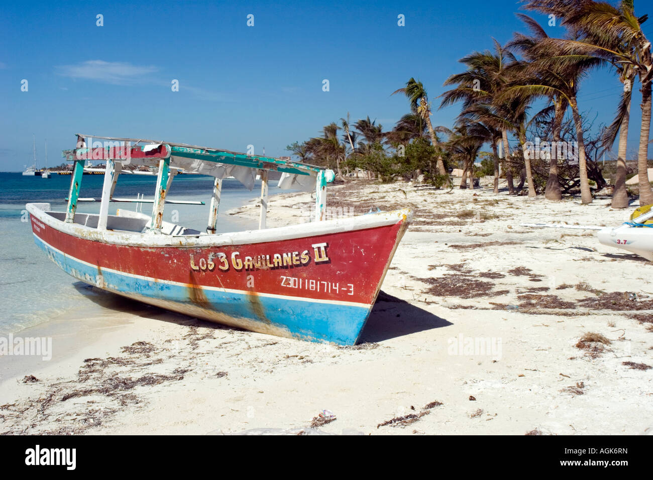 Fishing boat and Palm trees Stock Photo - Alamy
