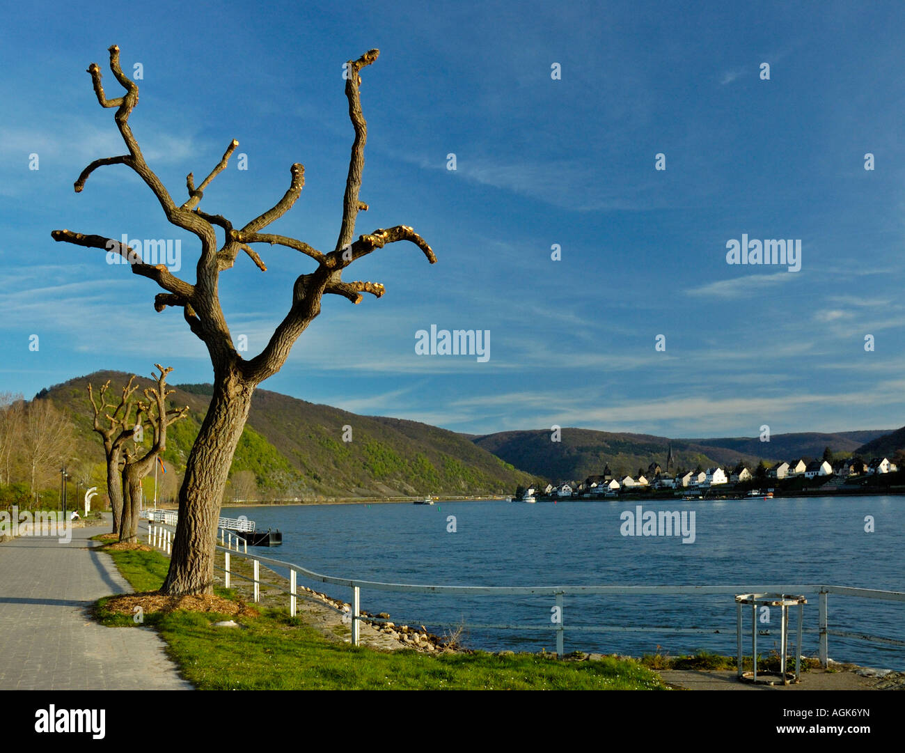 View of the Rhine from Braubach, Germany Stock Photo - Alamy