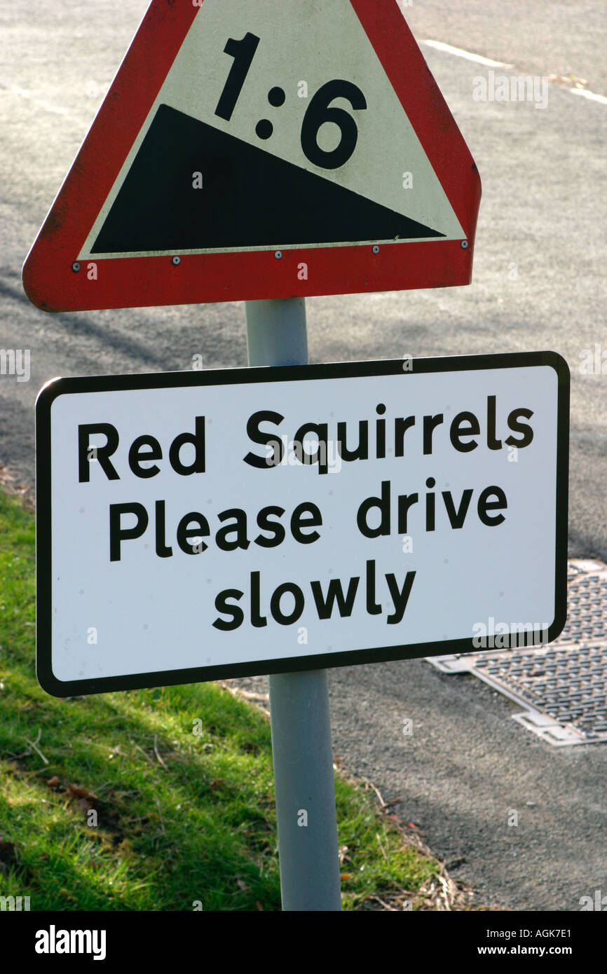 Caution red squirrels road sign hi-res stock photography and images - Alamy