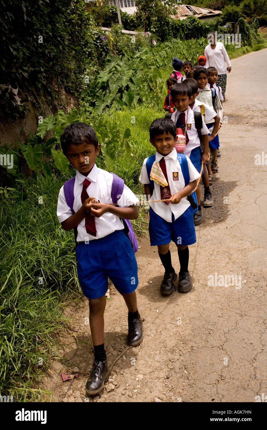 School boy in the queue on the road Stock Photo - Alamy