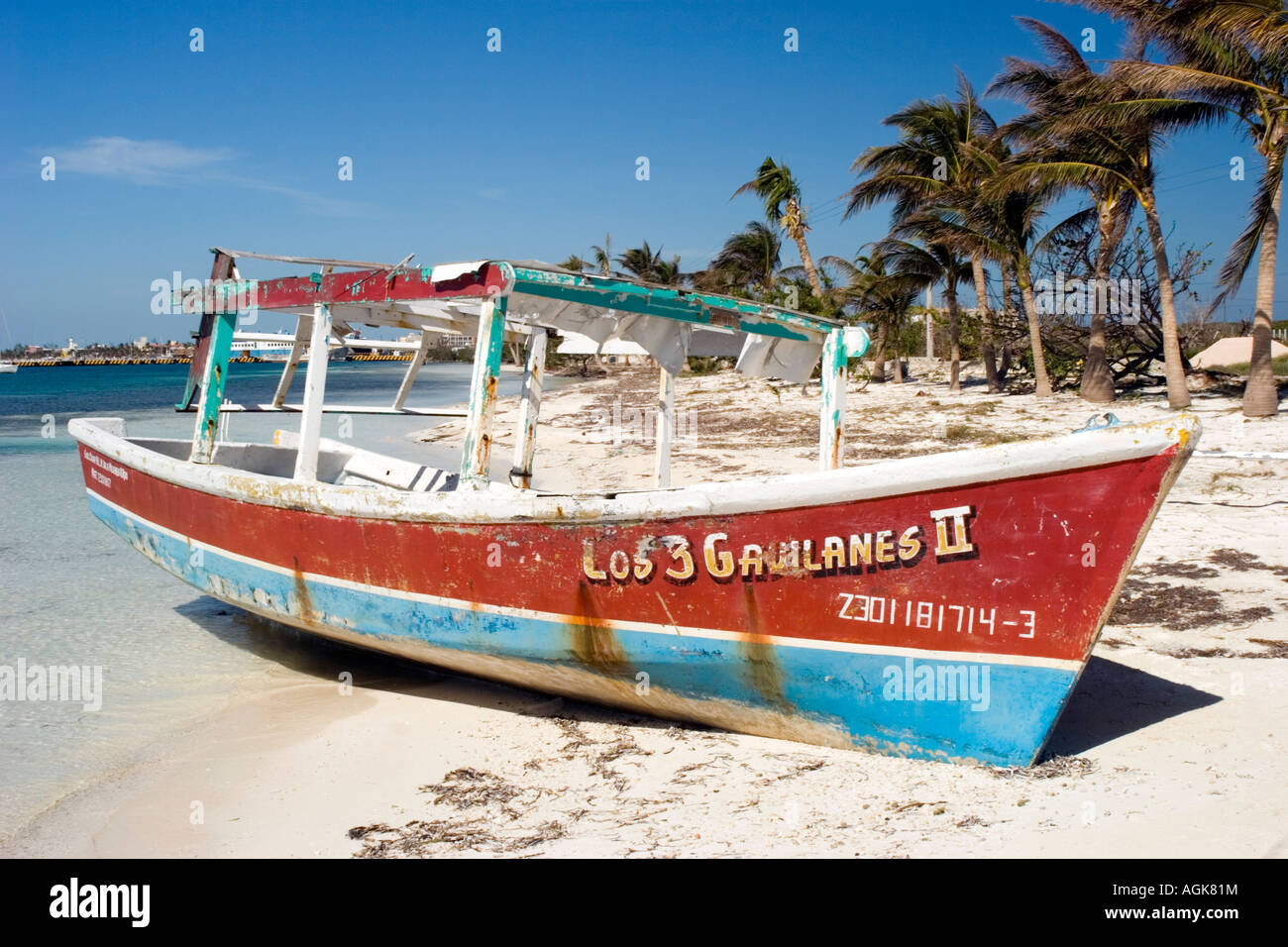 Fishing boat and Palm trees Stock Photo - Alamy
