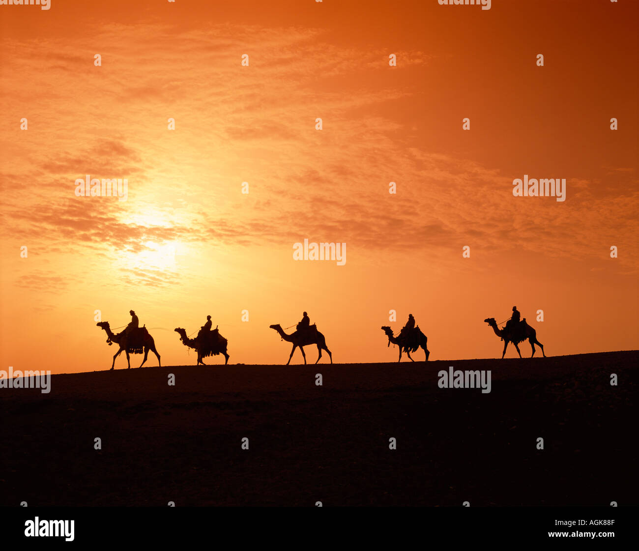 Camel train silhouette sunset desert hi-res stock photography and ...