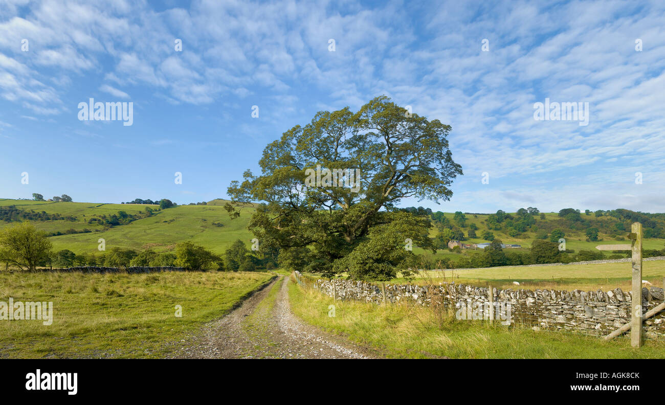 upper dovedale valley peak district national park derbyshire ...