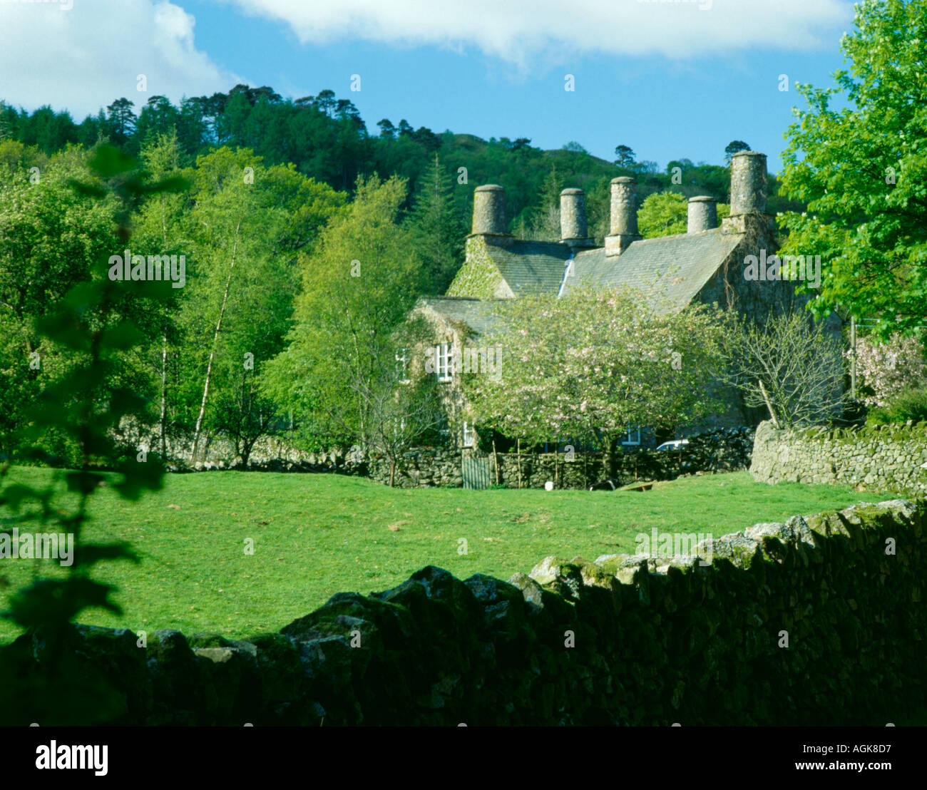 National pepper pot day hi-res stock photography and images - Alamy