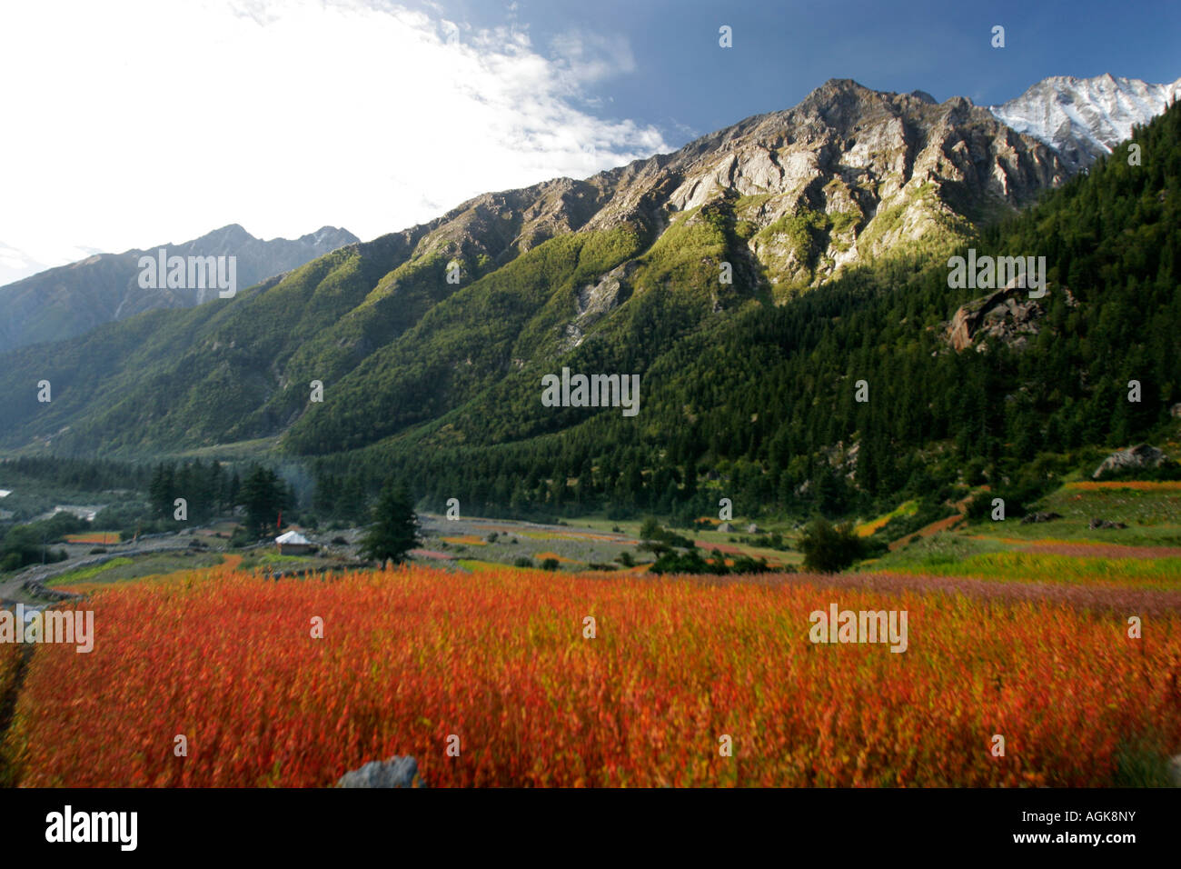 Kinnaur, himachal pradesh hi-res stock photography and images - Alamy