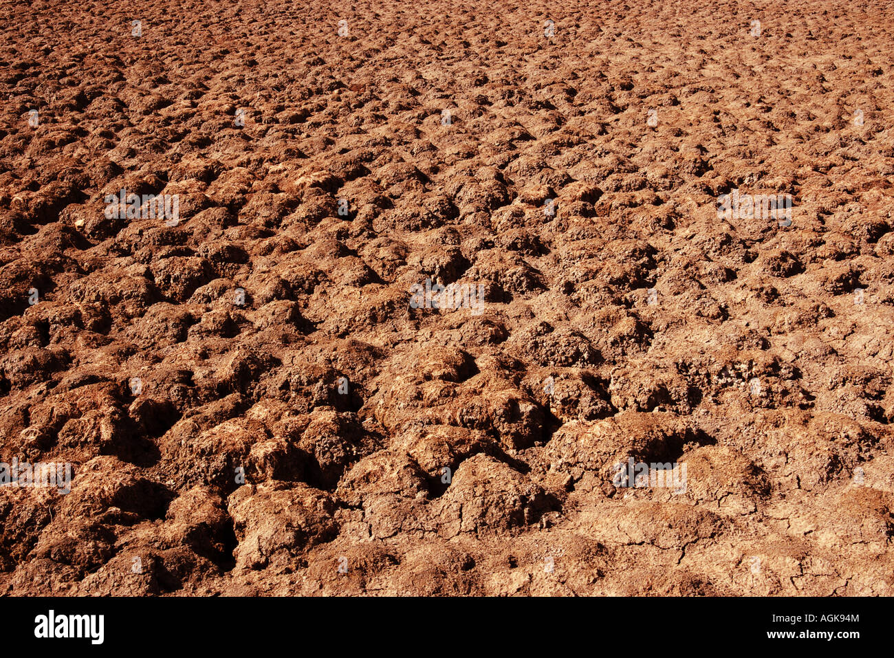 hot dry desert in the baking red sun Stock Photo - Alamy