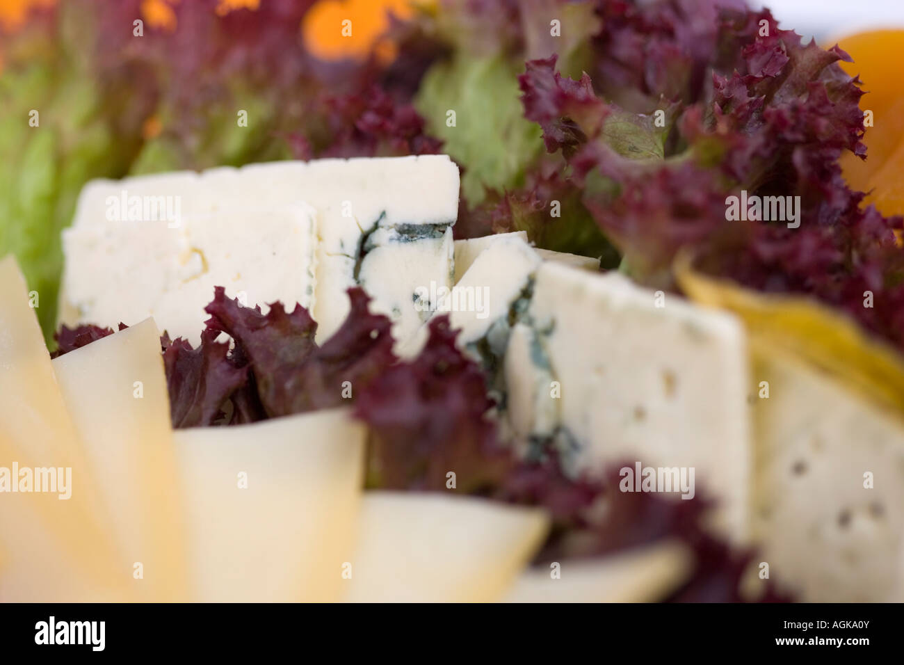 Selection of sliced cheeses with salad Stock Photo - Alamy