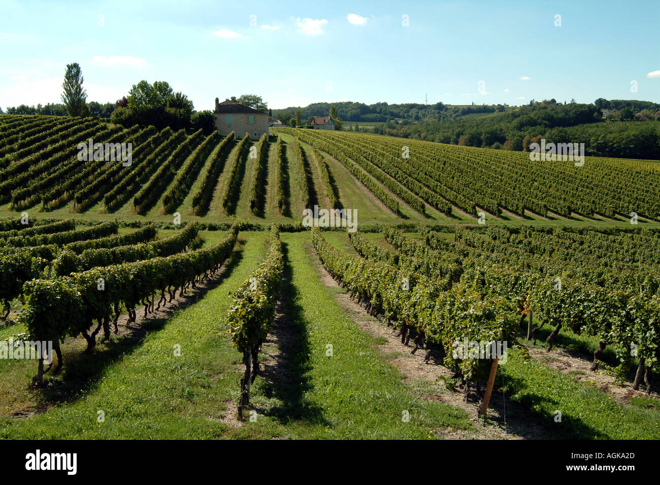 Bergerac hi-res stock photography and images - Alamy