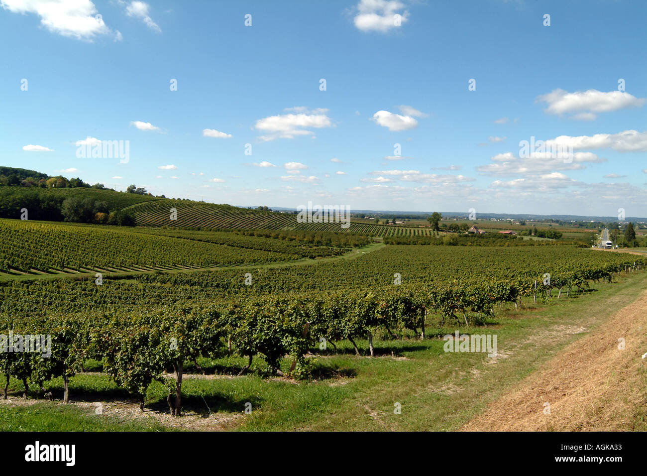 French country living hi-res stock photography and images - Alamy