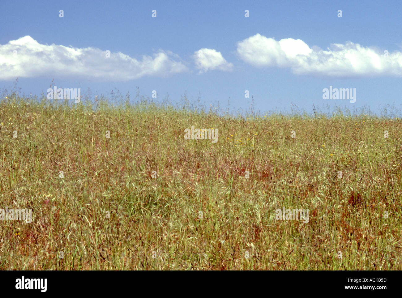 Earth meets sky earth meets sky hi-res stock photography and images - Alamy