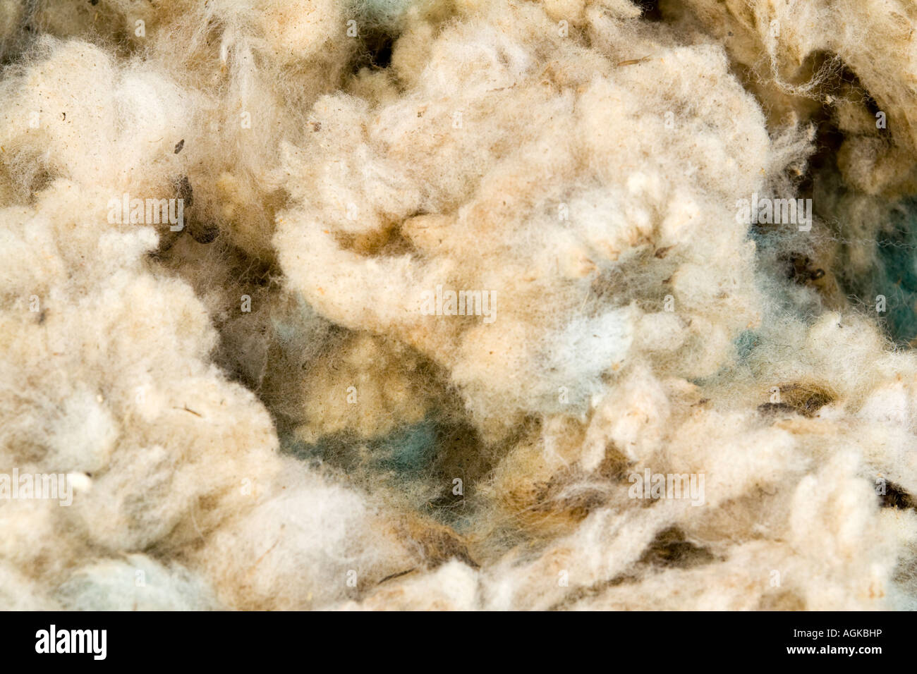 Unspun wool hi-res stock photography and images - Alamy