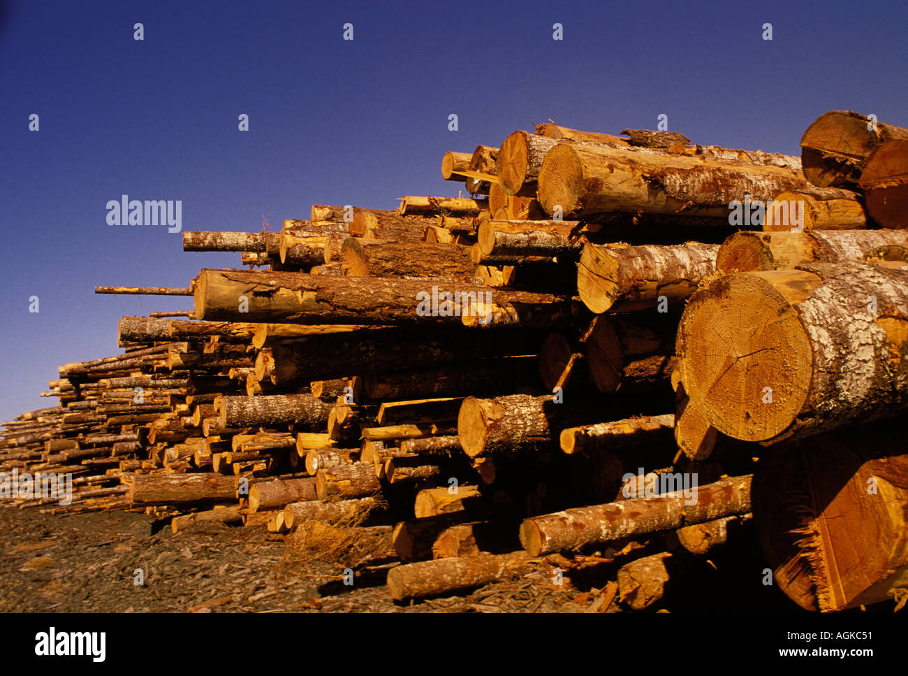 Logging camp building hi-res stock photography and images - Alamy