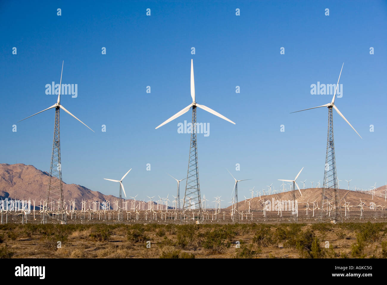 A wind farm in the San Gorgonio Mountain Pass in Palm Springs ...