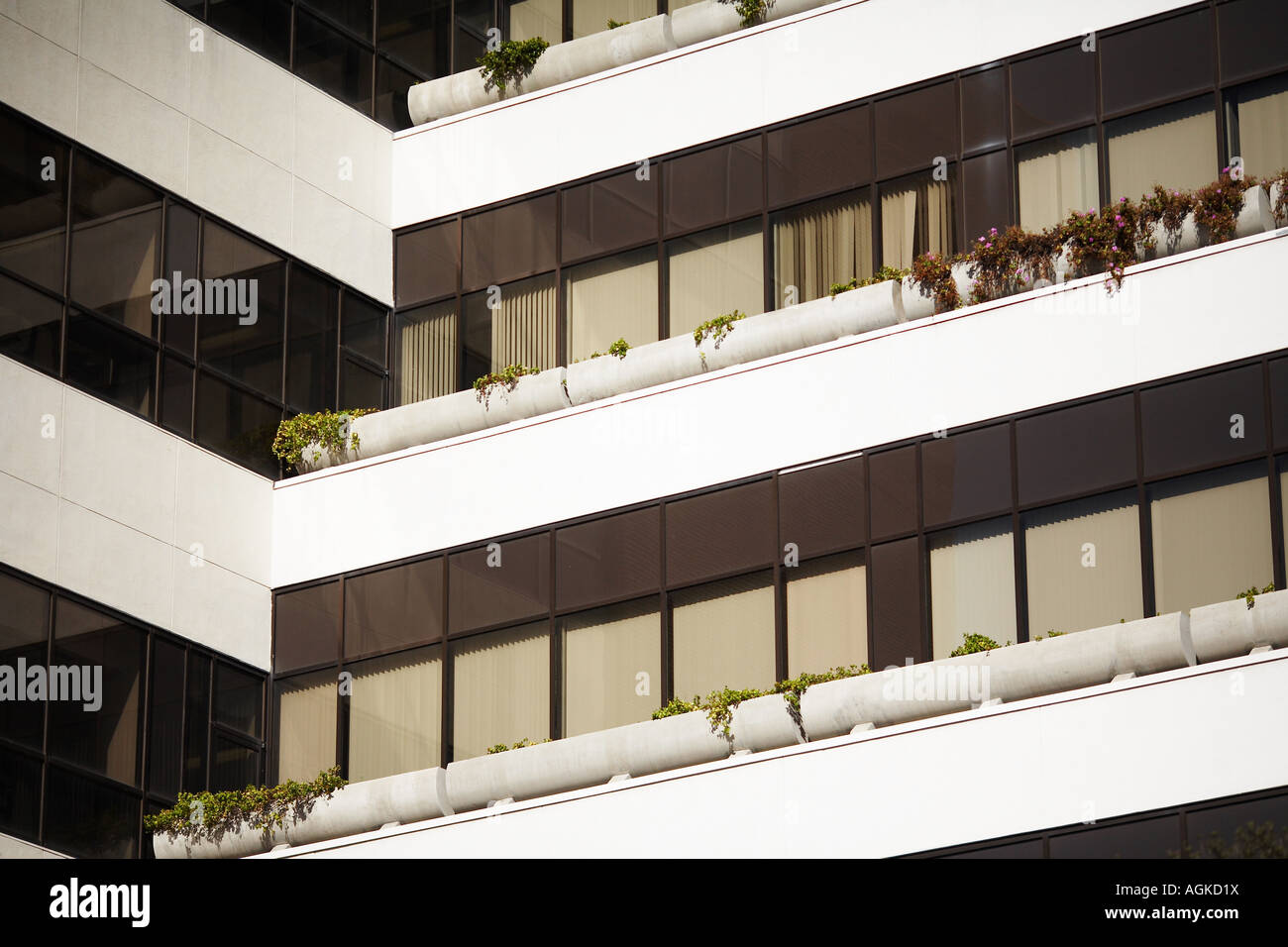 Window Details UCLA Campus, West Los Angeles, California, USA Stock ...