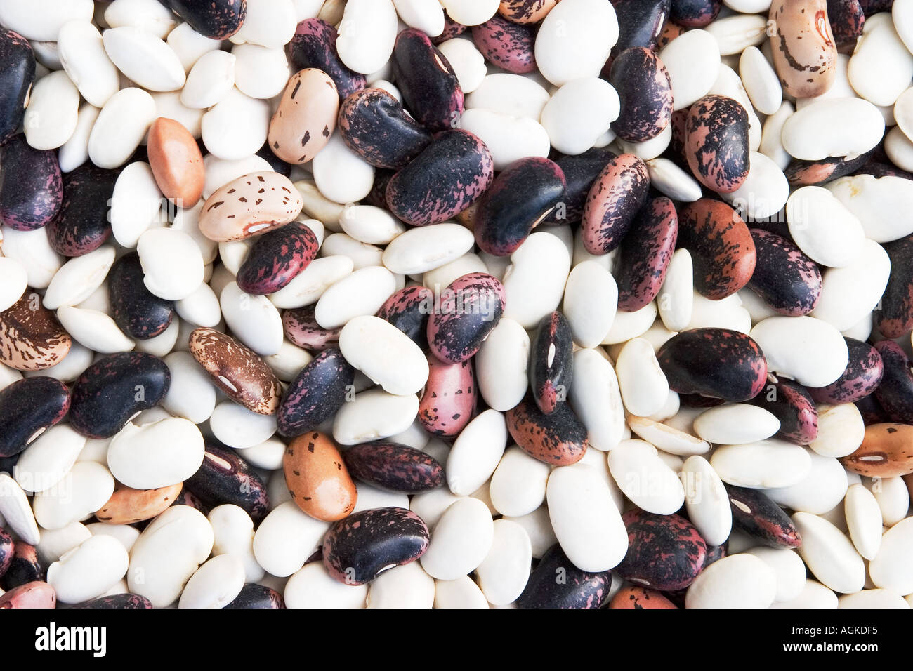 Different types of dried beans Stock Photo - Alamy