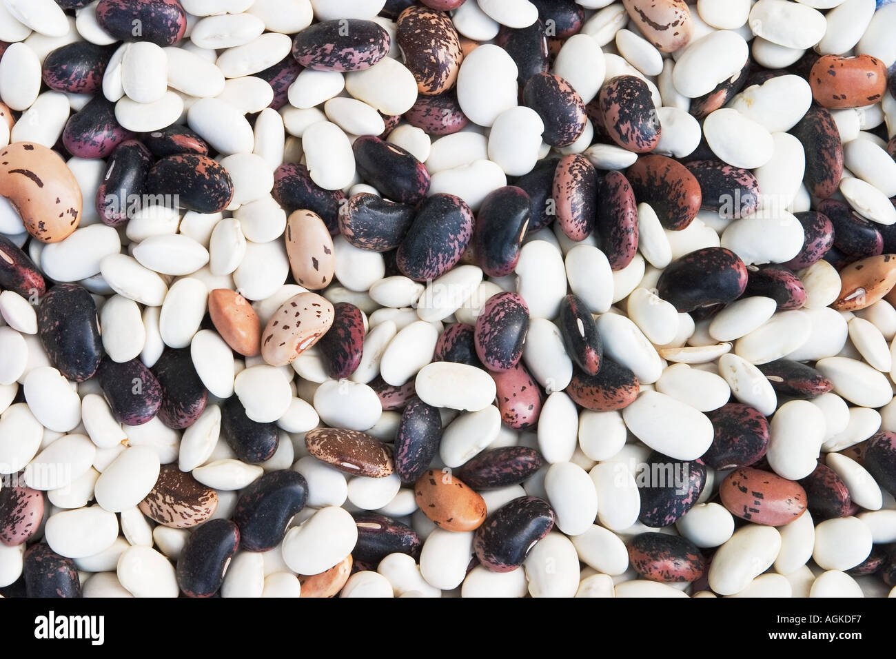 Different types of dried beans Stock Photo - Alamy