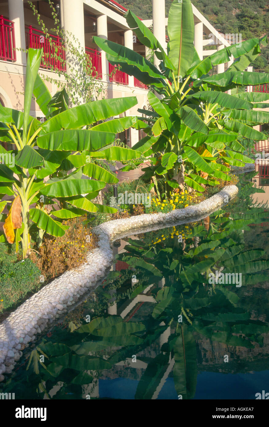 Olu design hi-res stock photography and images - Alamy