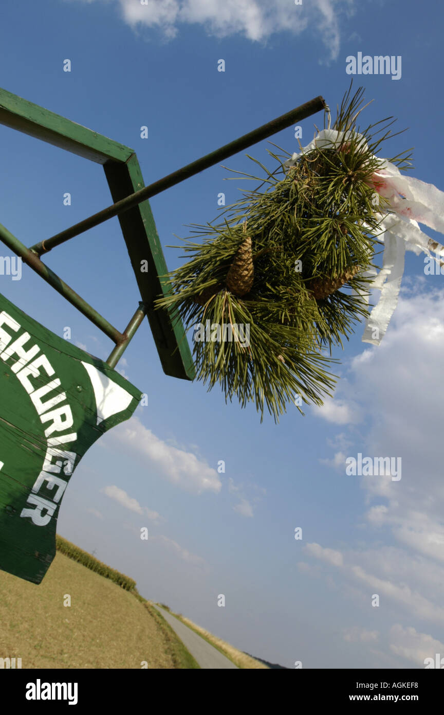 Trinking simple hi-res stock photography and images - Alamy