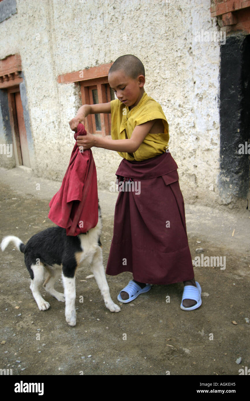 Child monk playing with a dog in Lamayuru, Ladakh, India Stock Photo ...