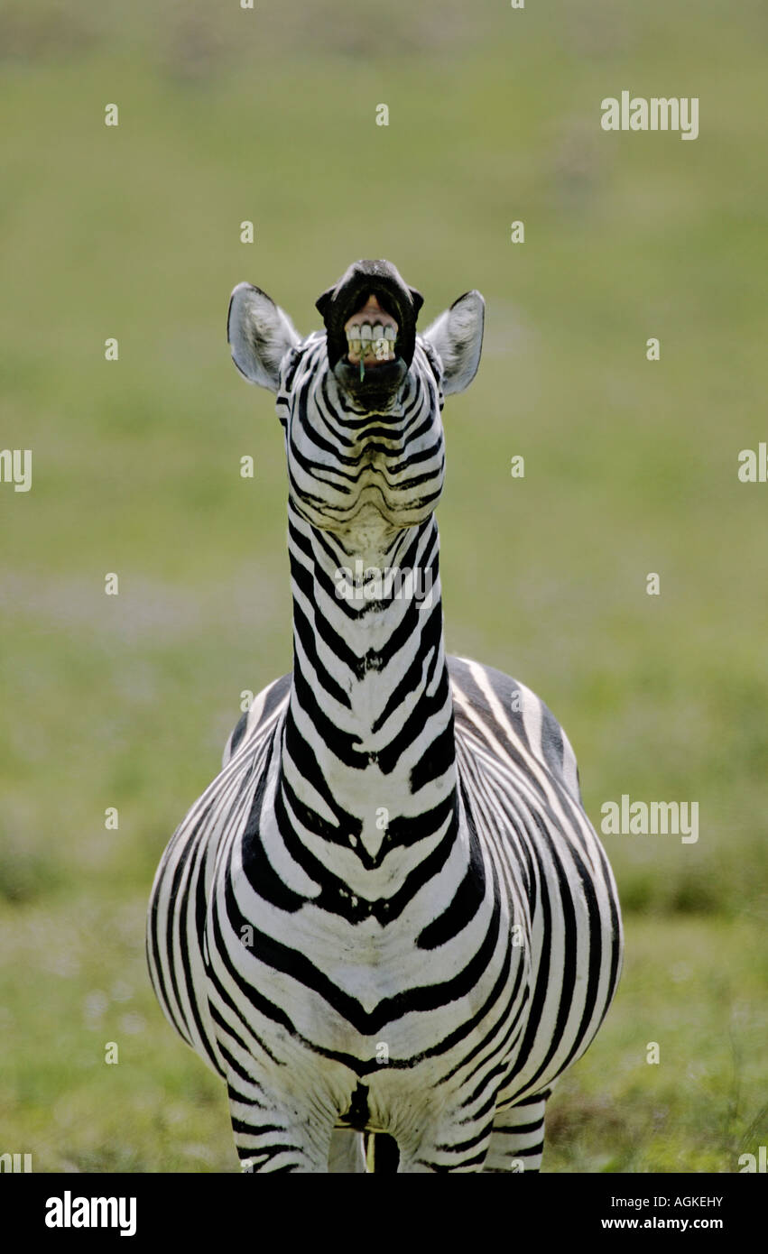 Sense females hi-res stock photography and images - Alamy