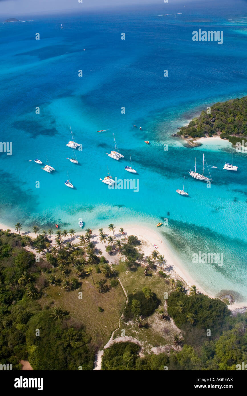 Tobago cays snorkeling hi-res stock photography and images - Alamy