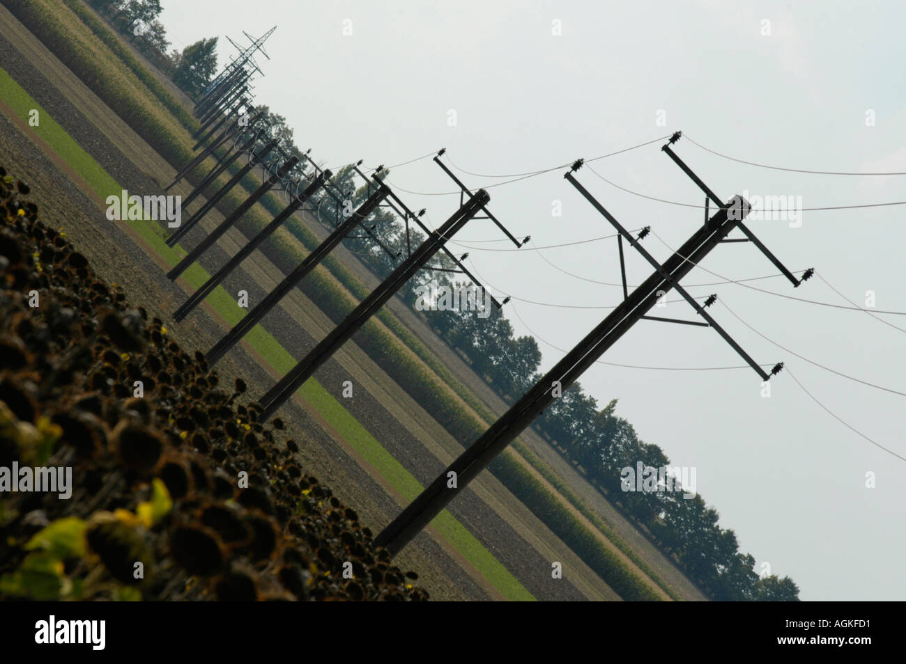 Field assembly hi-res stock photography and images - Alamy
