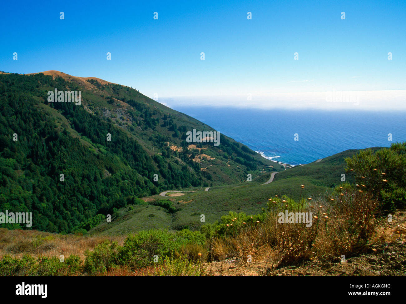 Hillside with the ocean in the distance Stock Photo - Alamy