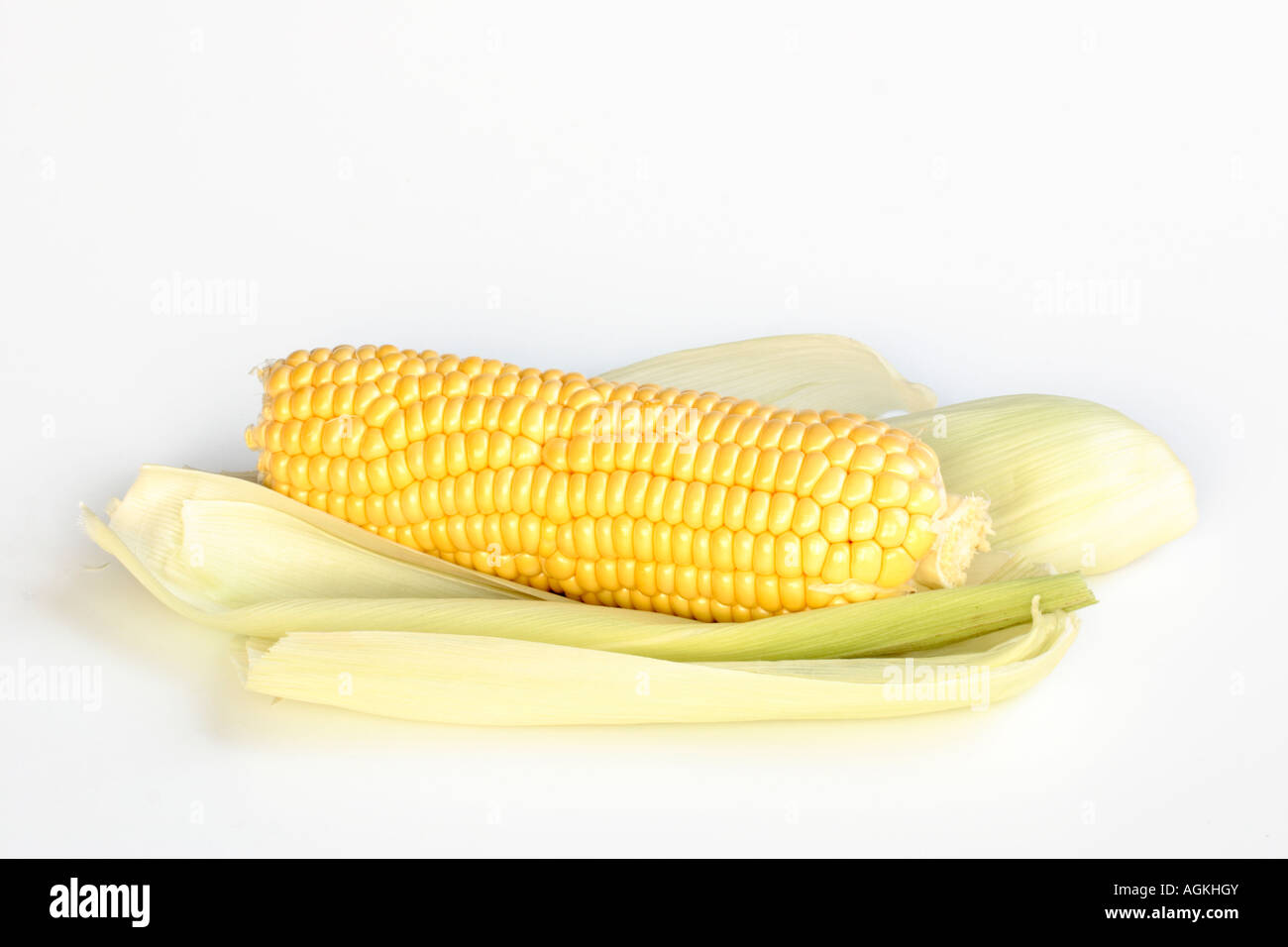 Corn cob close-up Stock Photo - Alamy