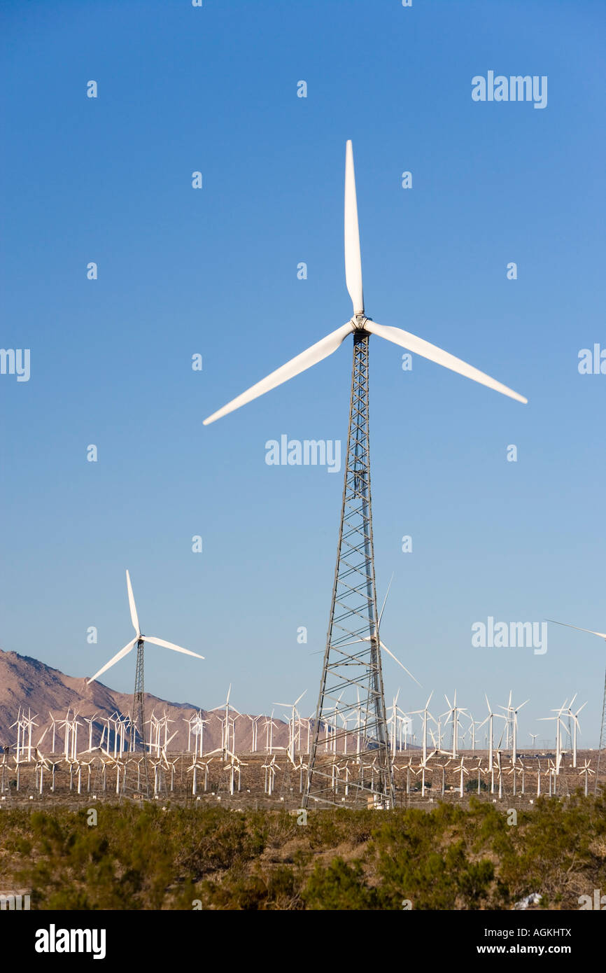 A wind farm in the San Gorgonio Mountain Pass in Palm Springs ...