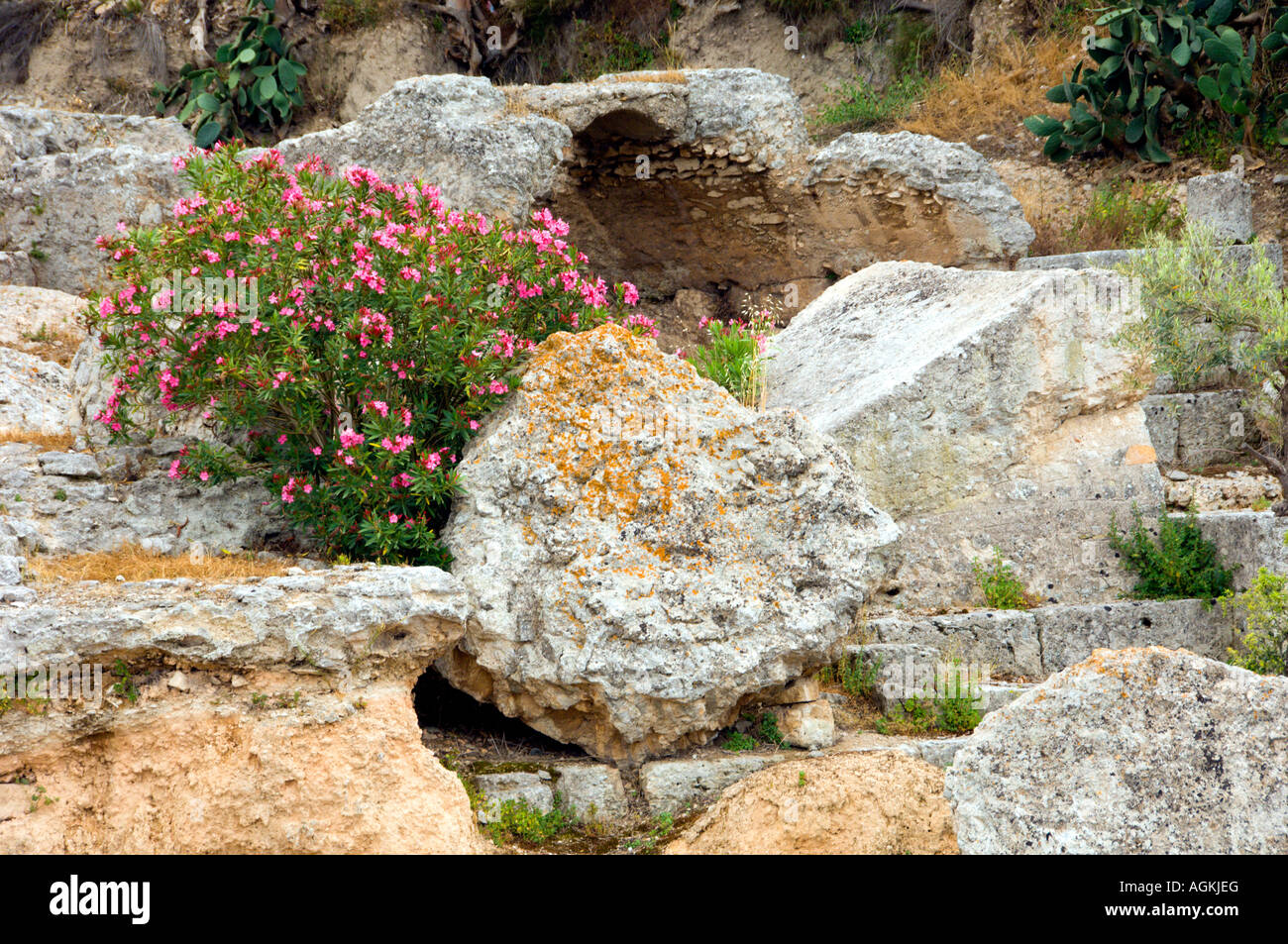 The ruins of the ancient city of Corinth in Corinth Greece Stock Photo ...