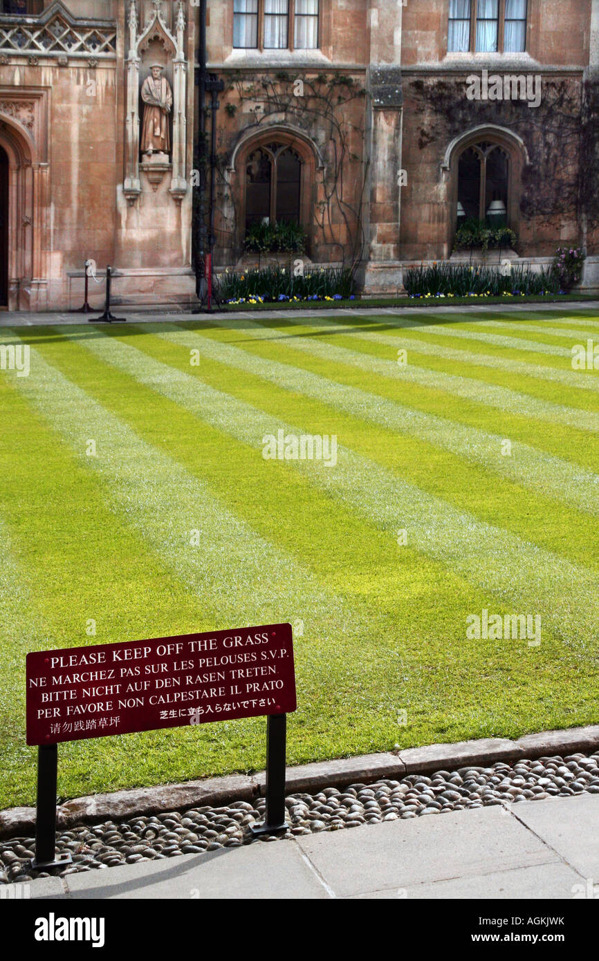 The lawn of the Great Court at Trinity College in Cambridge UK Stock ...