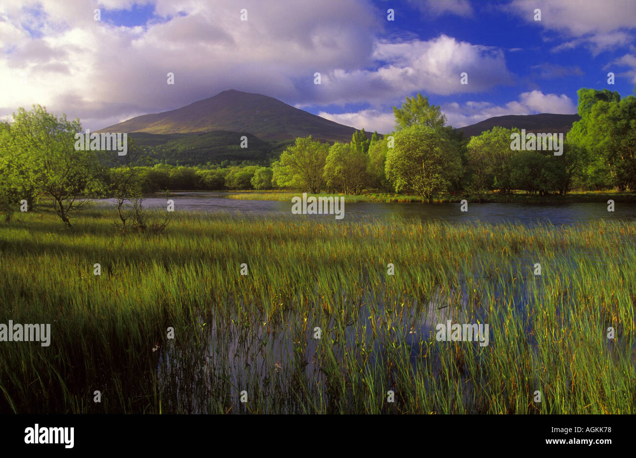 Mount schiehallion hi-res stock photography and images - Alamy