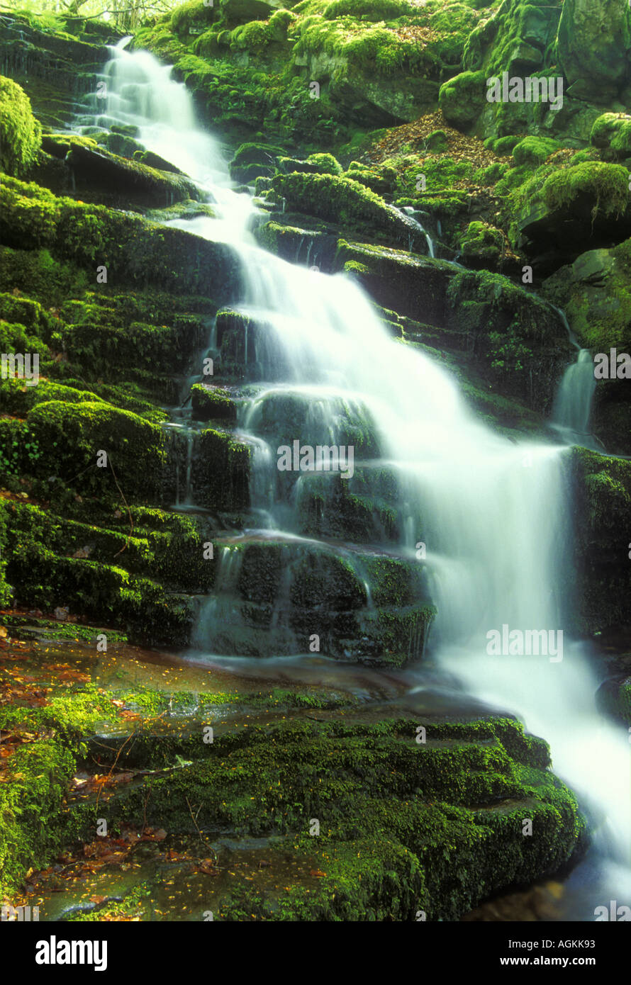 Waterfall at Aberfeldy Perthshire Scotland Stock Photo - Alamy