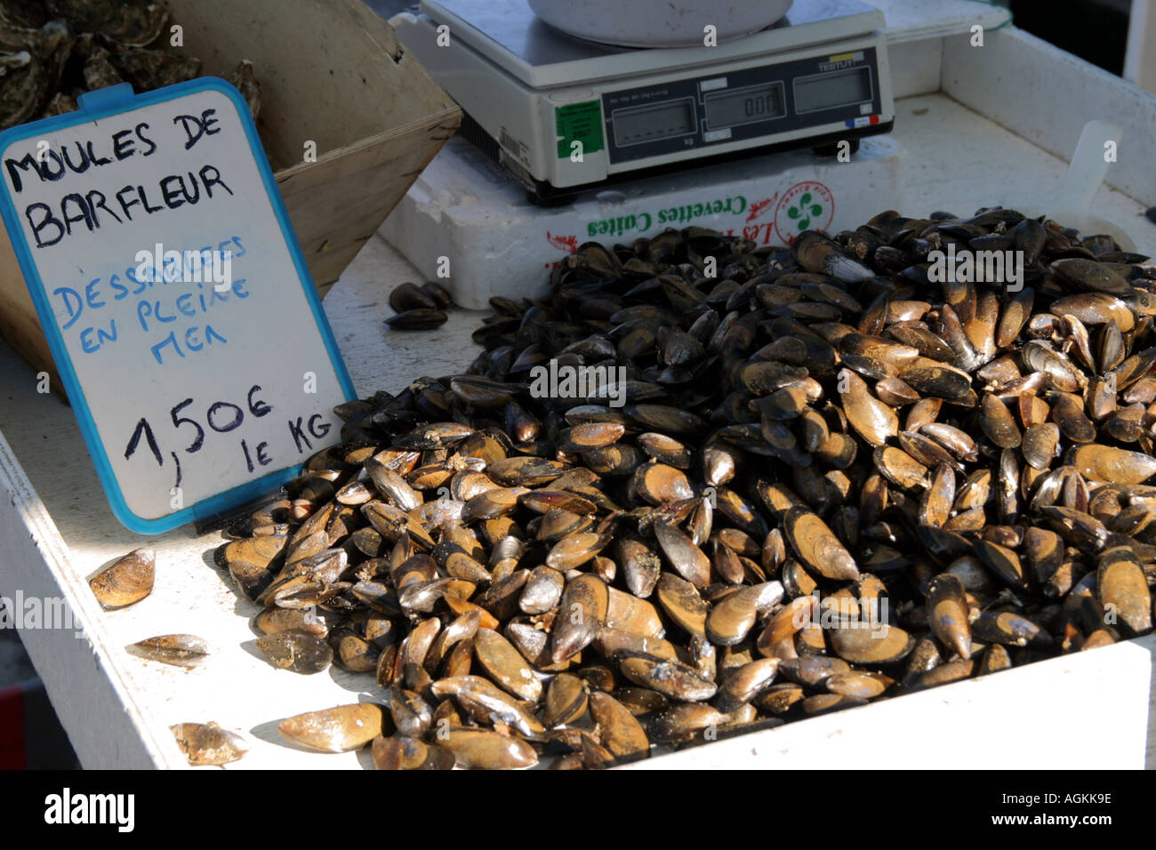 Cotentin france mussels hi-res stock photography and images - Alamy