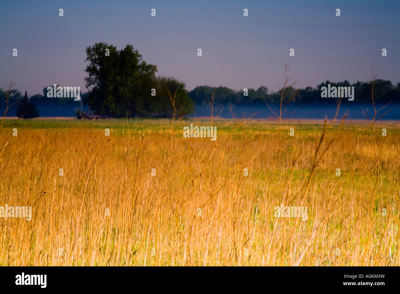 Columbia Bottom Conservation Area near St Louis, Missouri Stock Photo ...