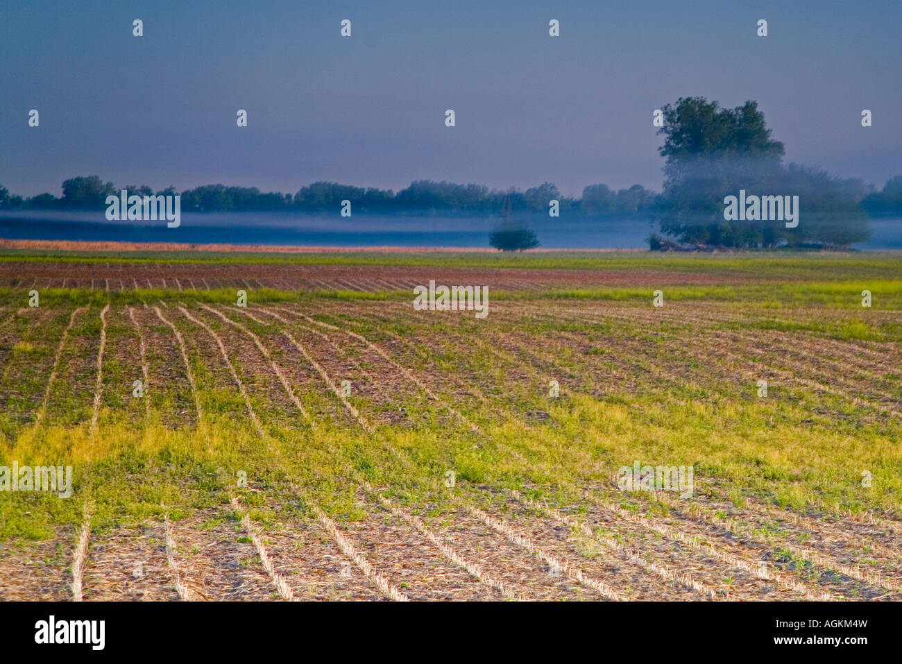 Columbia mo missouri hi-res stock photography and images - Alamy
