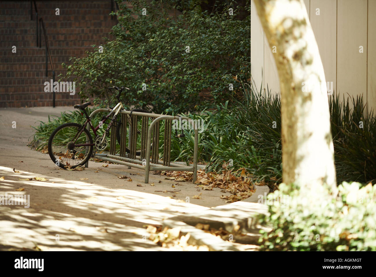 Powell library los angeles hi-res stock photography and images - Alamy