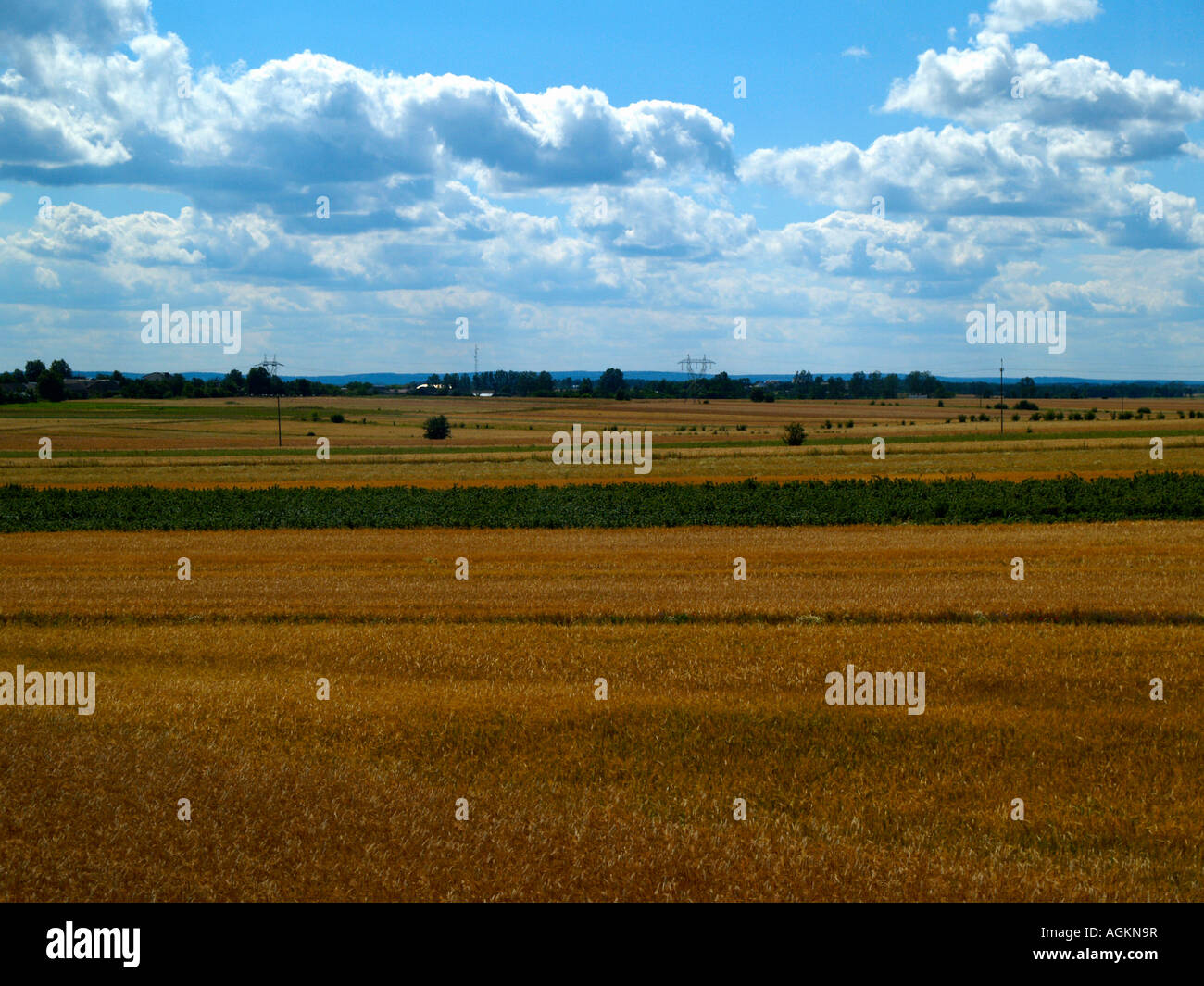 Amber fields of grain hi-res stock photography and images - Alamy