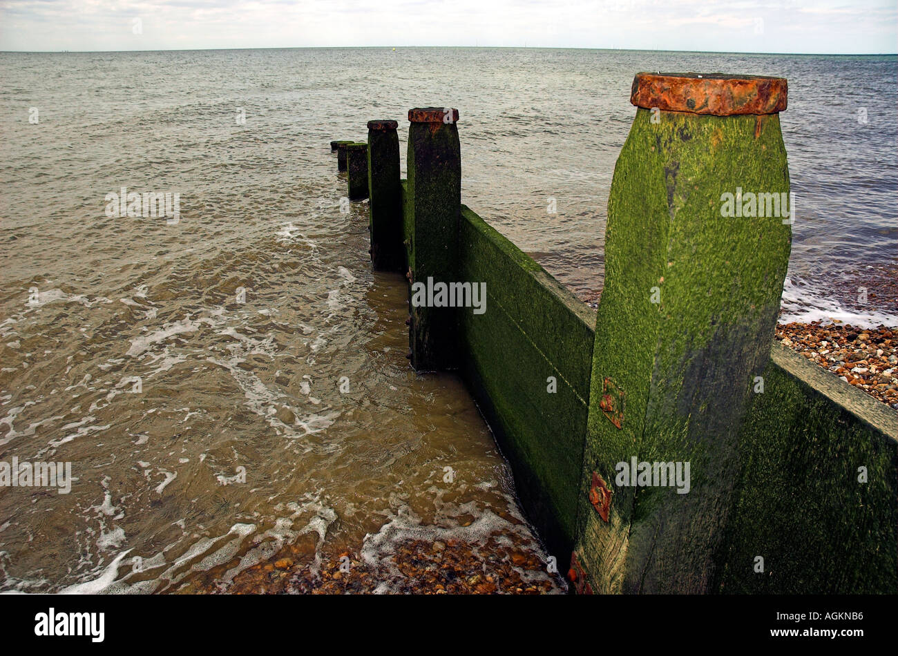 Old wooden groyne at whitstable beach in north kent Stock Photo - Alamy