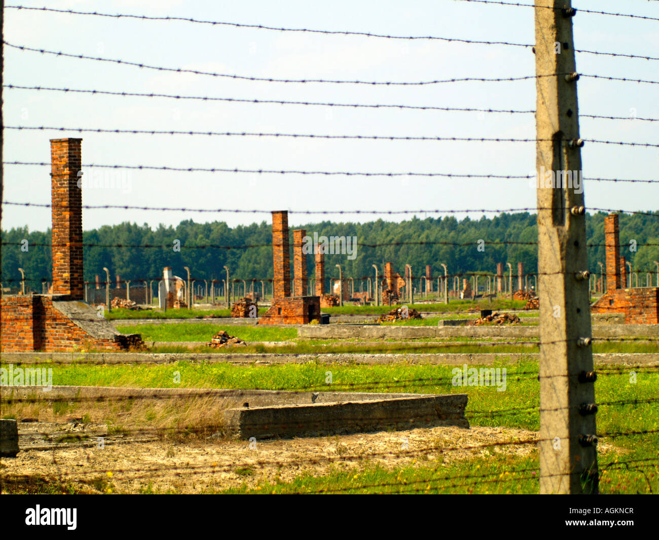 Goebbels death hi-res stock photography and images - Alamy