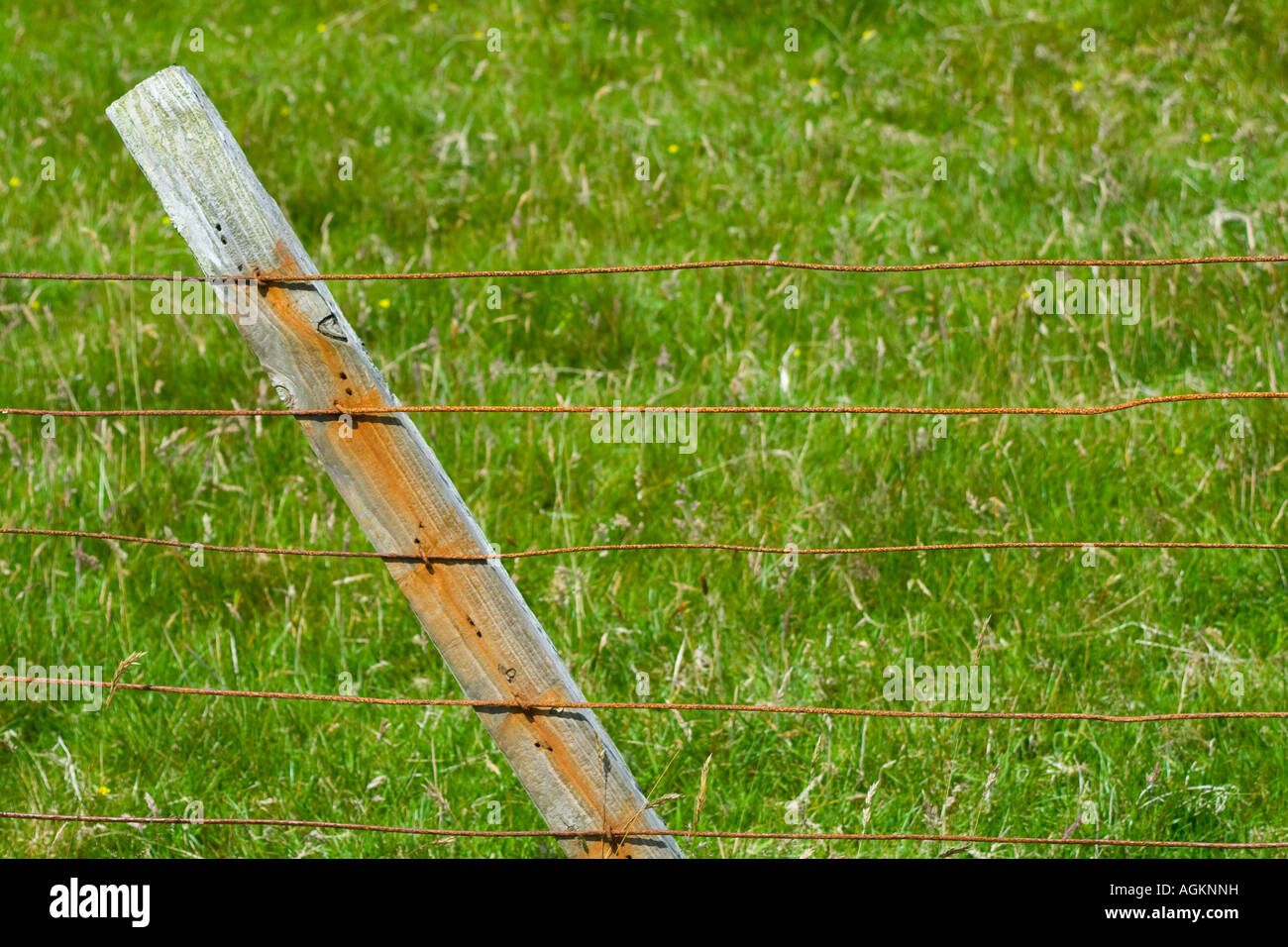 Stake and wire fence hi-res stock photography and images - Alamy