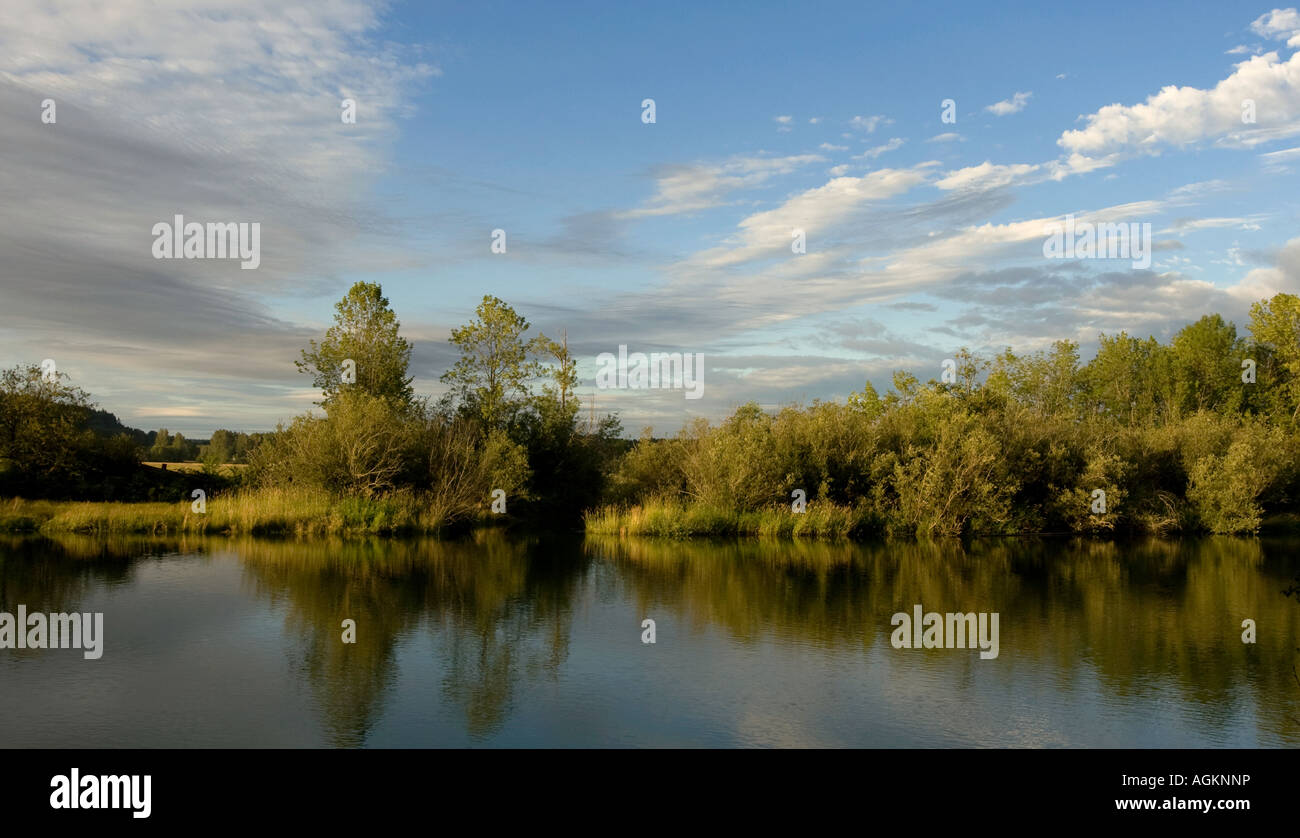 Trees and river scene hi-res stock photography and images - Alamy