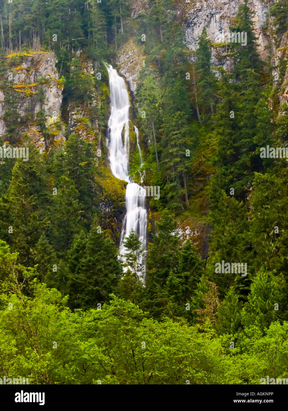 Skookum hi-res stock photography and images - Alamy