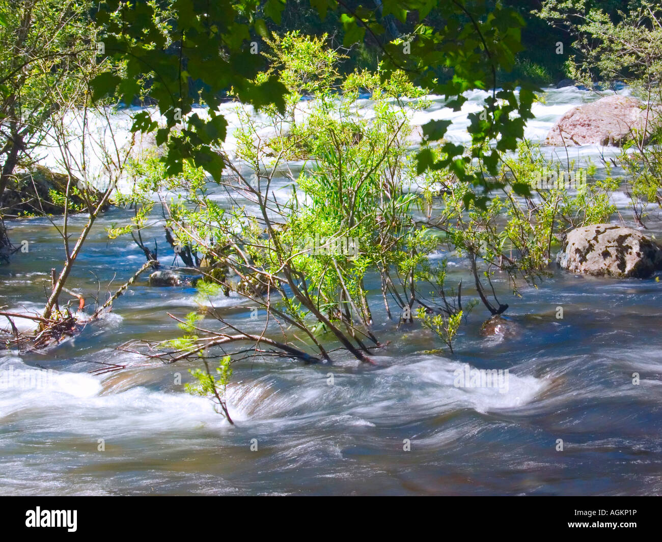 Green River, Kanasket-Palmer State Park Stock Photo - Alamy